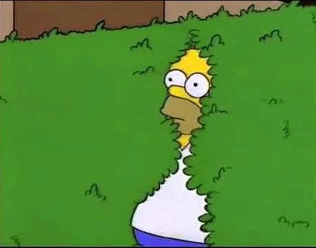 Dal meme al design: Homer Simpson diventa una ciabatta – Decappottabili ...